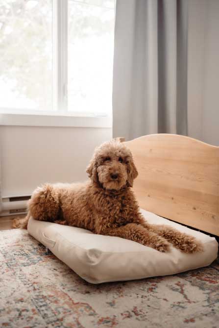 Grand Mat – Kam mats